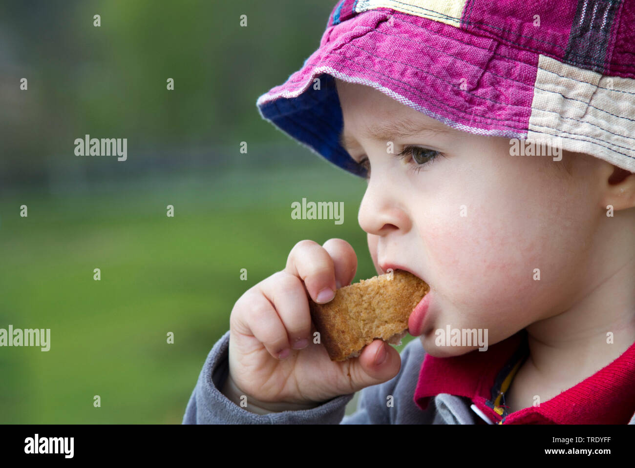 Children eating cookie hi-res stock photography and images - Alamy