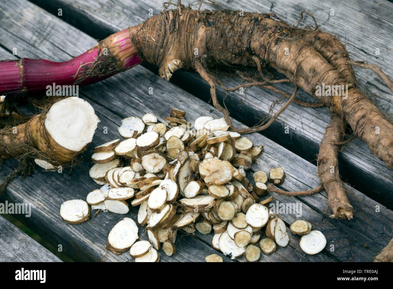 Angelica archangelica root hi-res stock photography and images - Alamy