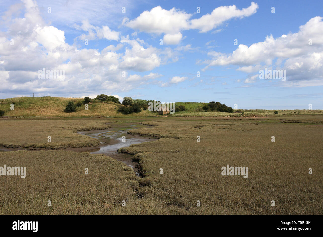 Wetlands england hi-res stock photography and images - Alamy