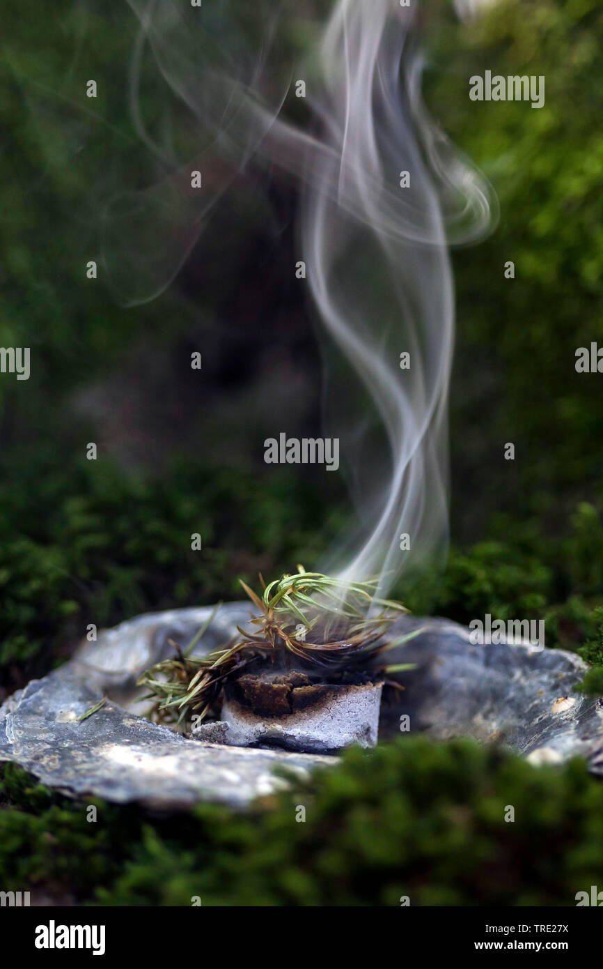 Smoking; Smoking with juniper, tree gum and fuming coal, Germany Stock ...