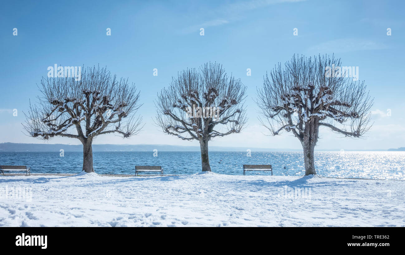 winter scenery at Tutzing, Germany, Bavaria Stock Photo - Alamy