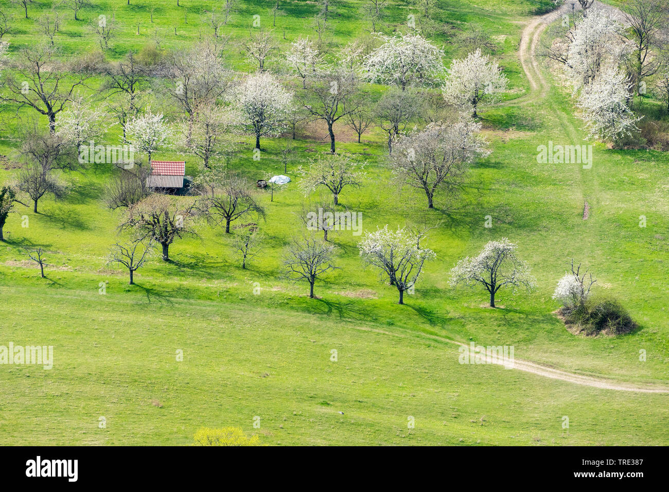 Spring tine hi-res stock photography and images - Alamy