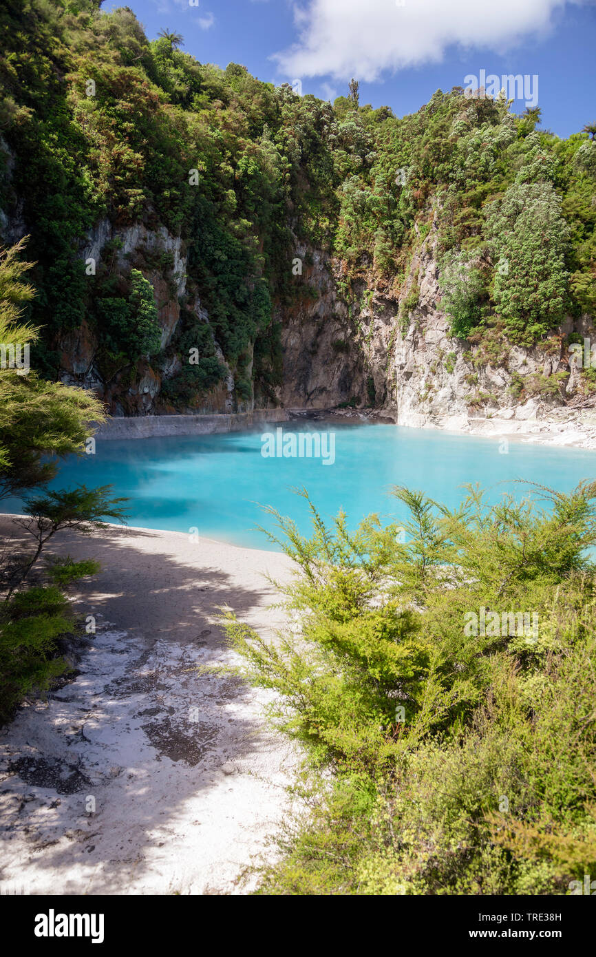 volcanic lake at inferno crater at Waimangu, New Zealand, Waimangu ...