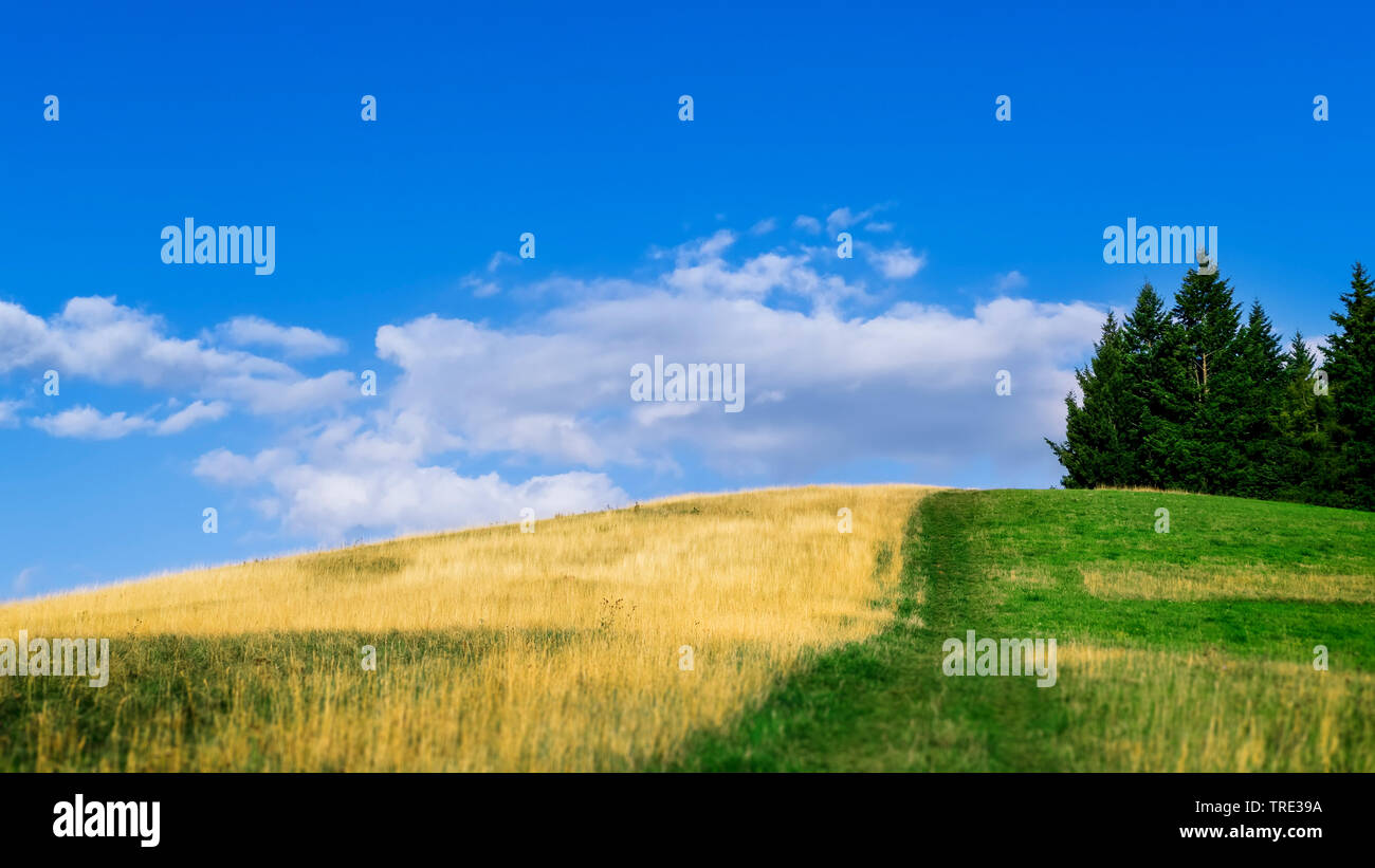 Medow field hi-res stock photography and images - Alamy