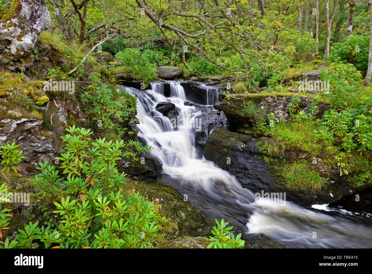 Inversnaid waterfalls hi-res stock photography and images - Alamy