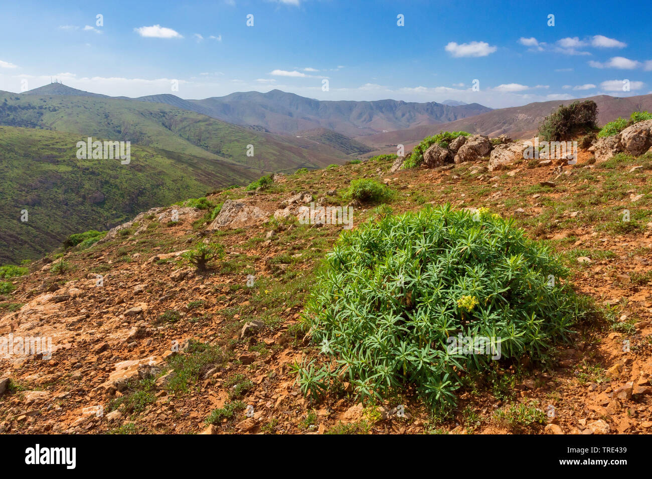 Mirador morro velosa viewpoint hi-res stock photography and images - Alamy