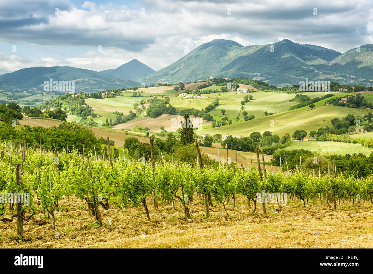 Marche region mountains hi-res stock photography and images - Alamy