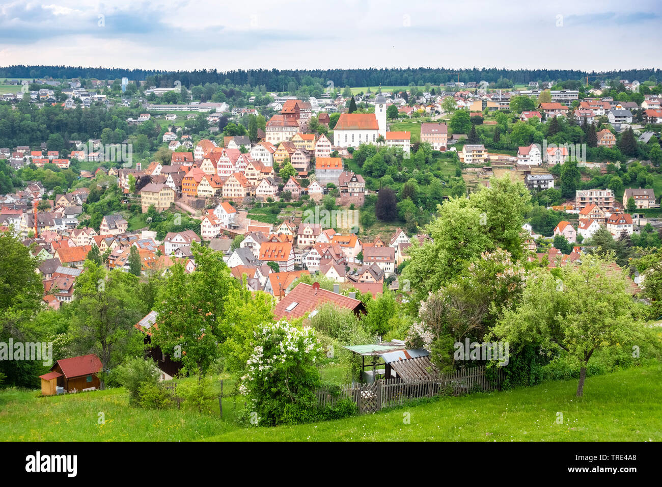 View of the histrorical town of Altensteig in the Black Forrest ...