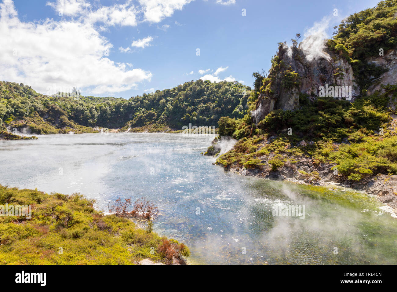 View of a volcanic lake at Waimangu Volcanic Rift Valley in New Zealand ...