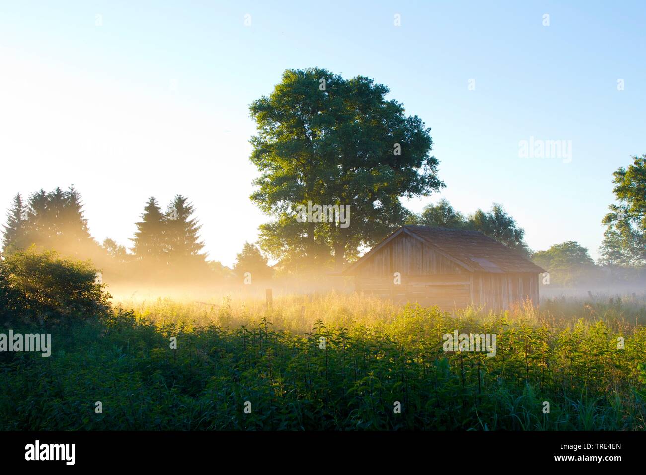 Mist clearing buildings hi-res stock photography and images - Alamy