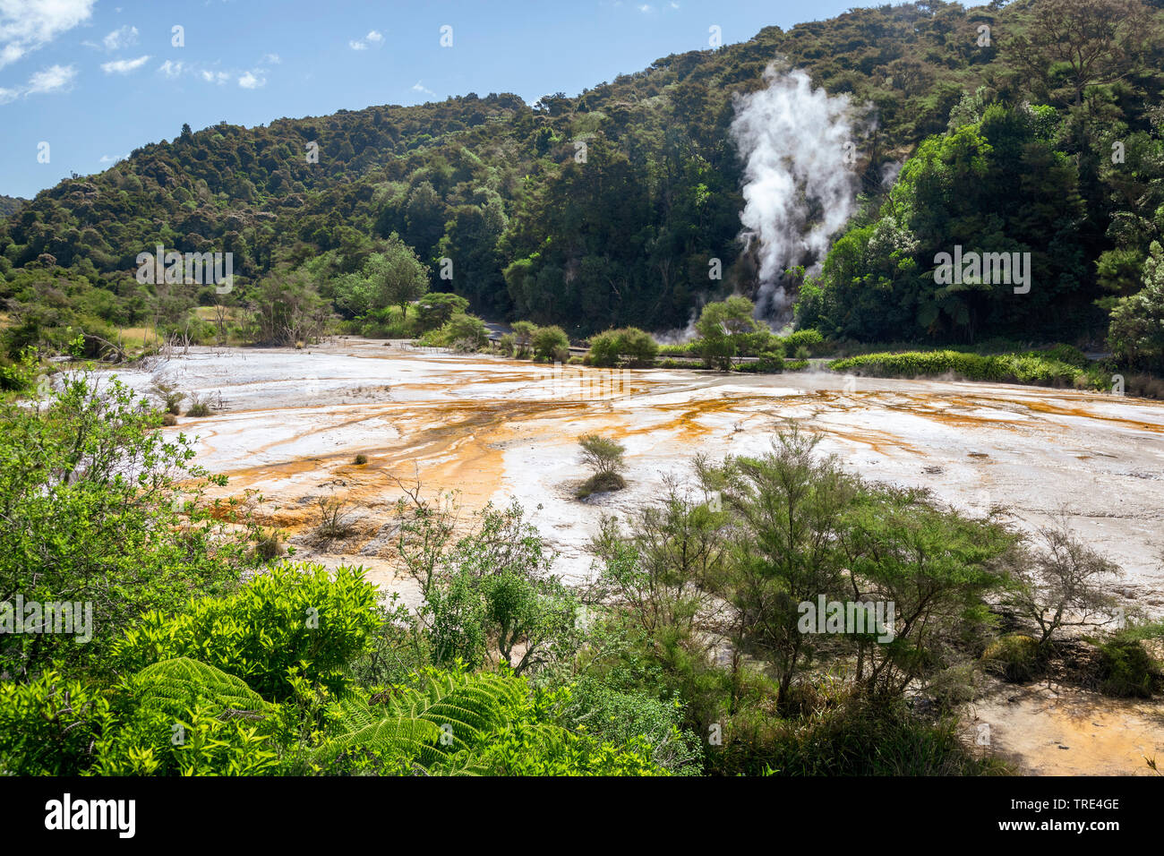 Volcanic landscape at Waimangu Volcanic Rift Valley, New Zealand ...