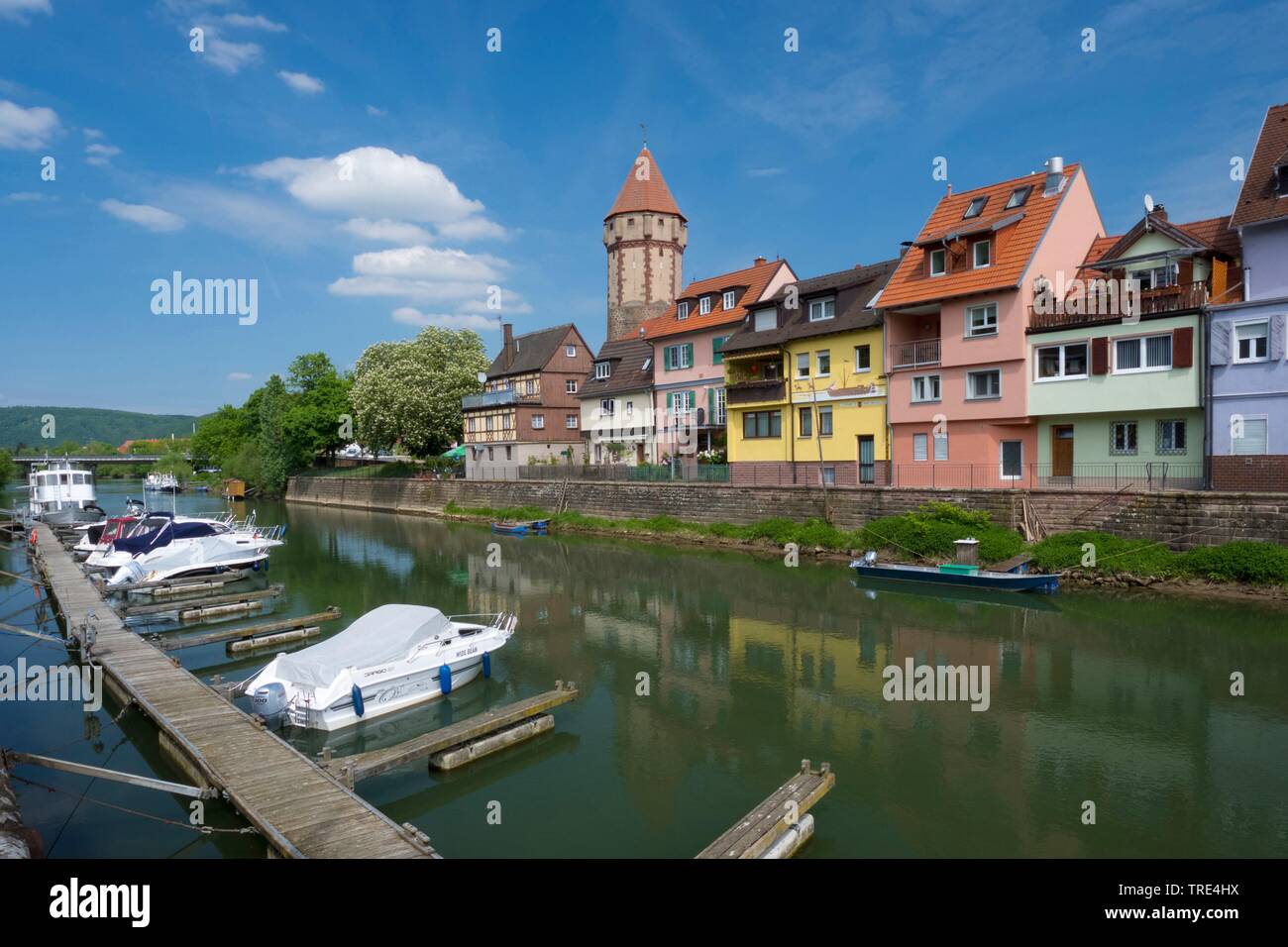 Spitzer Turm in Wertheim, Germany, Bavaria, Wertheim Stock Photo - Alamy