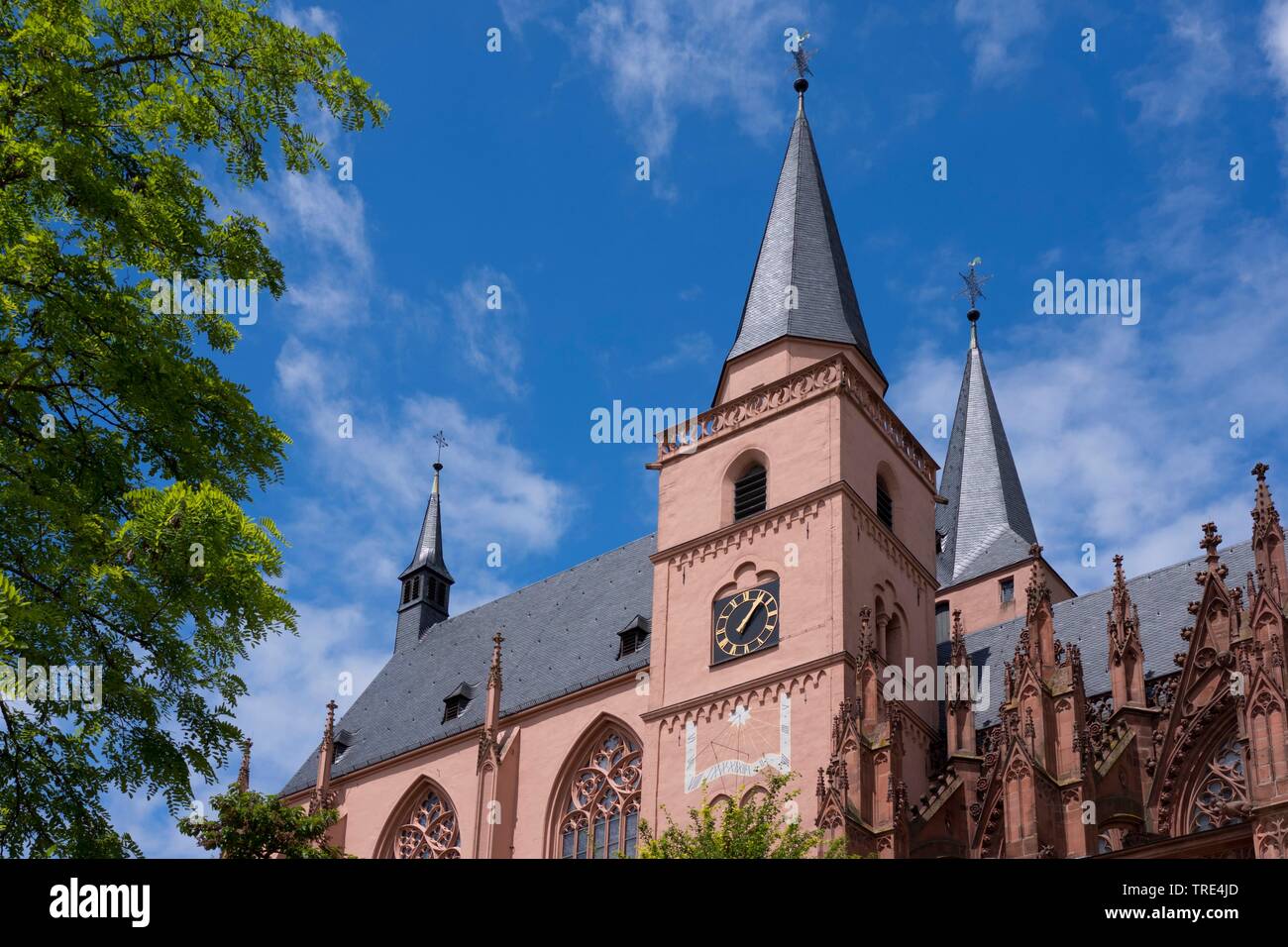 Oppenheim Church Stock Photos & Oppenheim Church Stock Images - Alamy