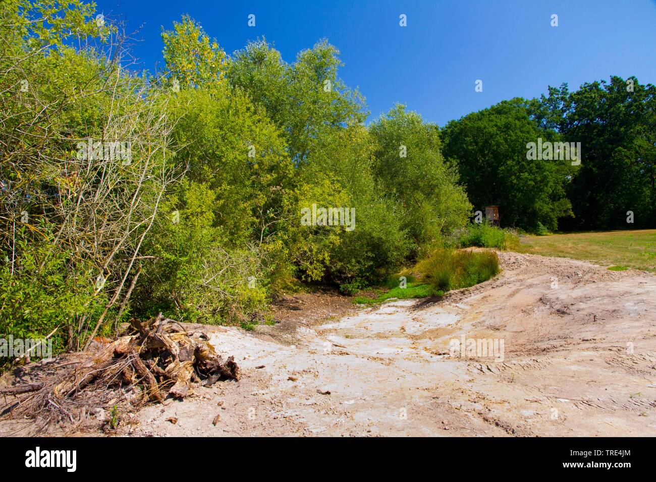 German toads hi-res stock photography and images - Alamy