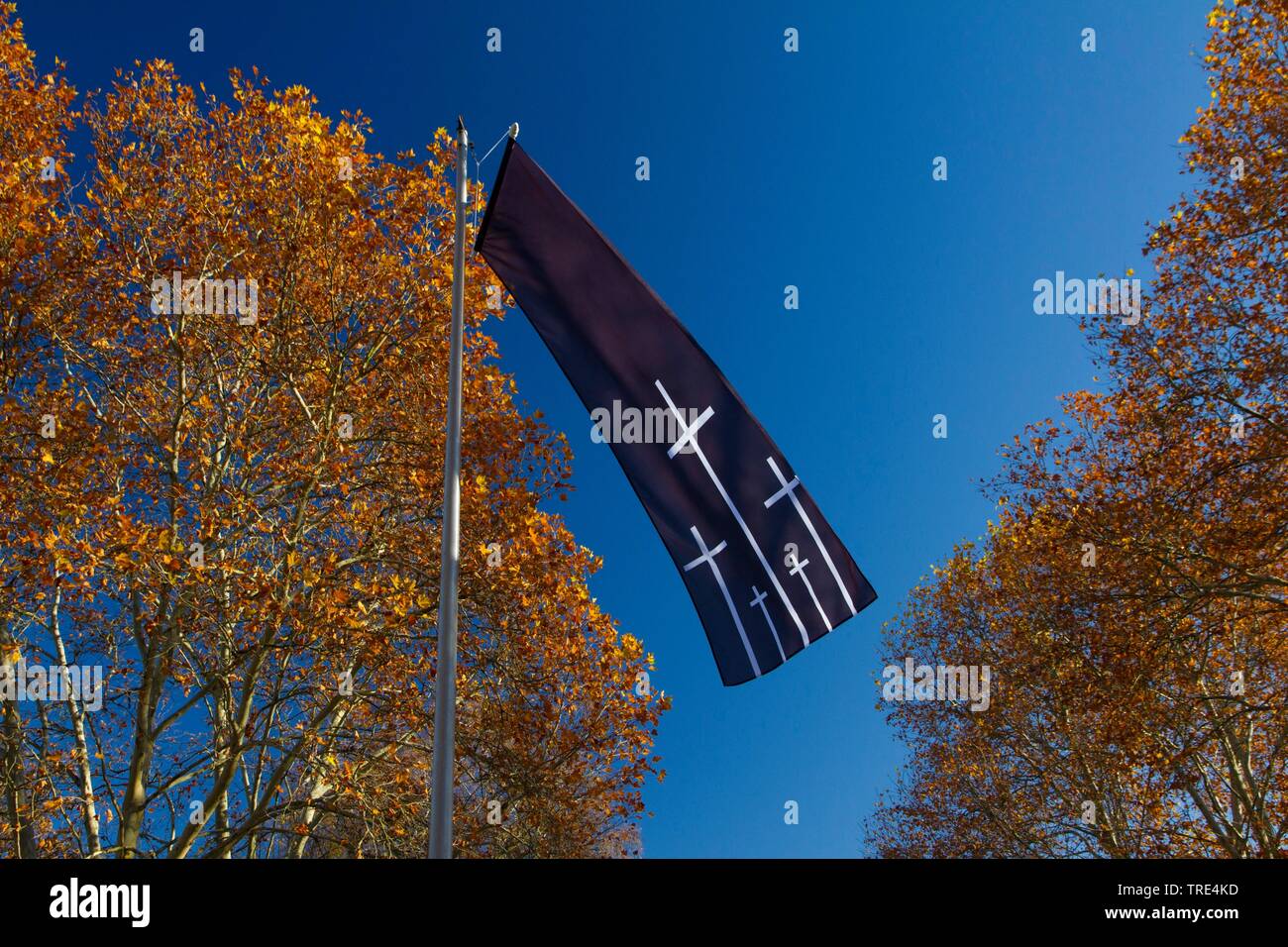 flags Poppy Day, Remembrance Sunday in Germany, Germany Stock Photo - Alamy