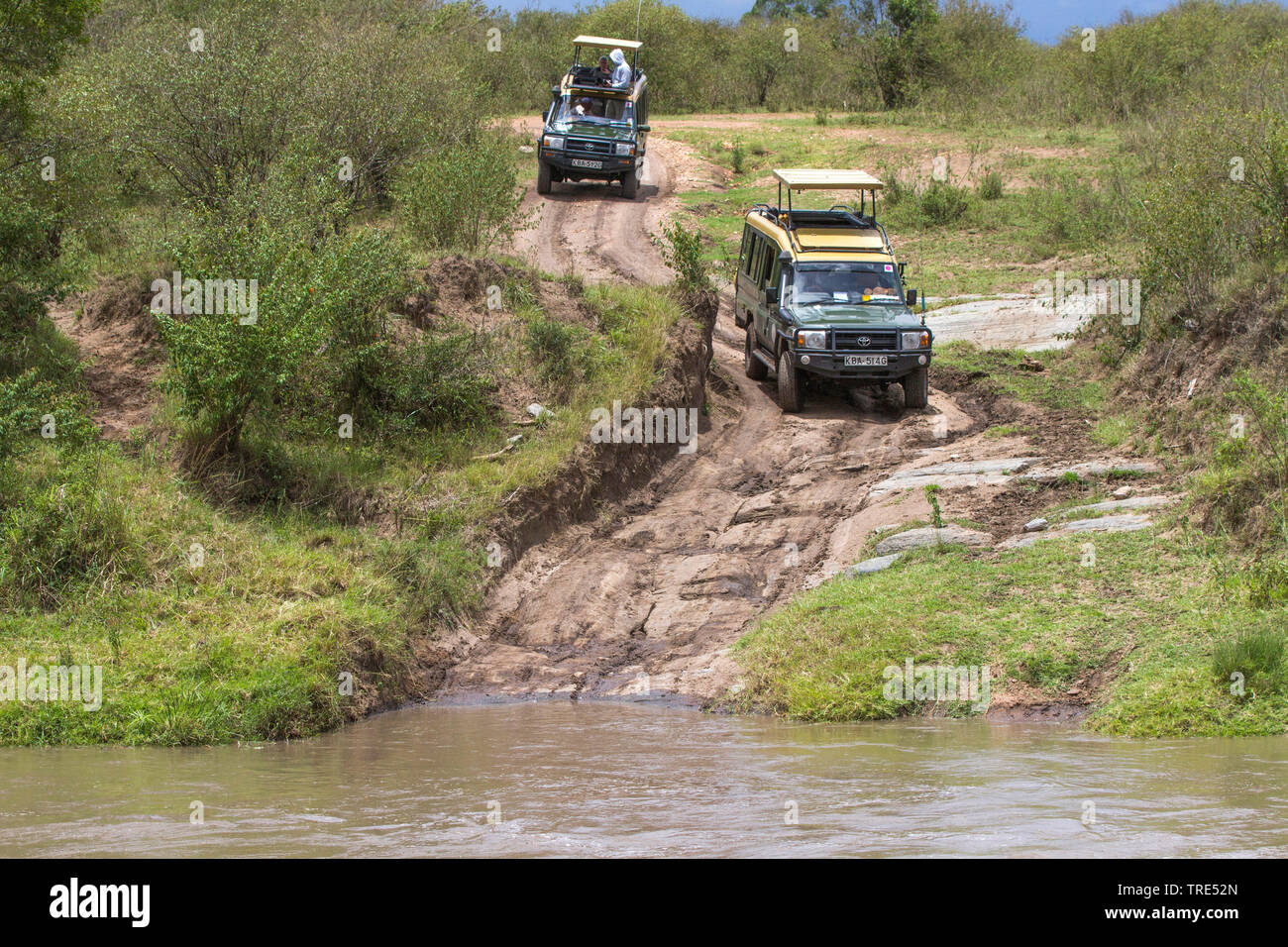 Mara crossing hi-res stock photography and images - Alamy