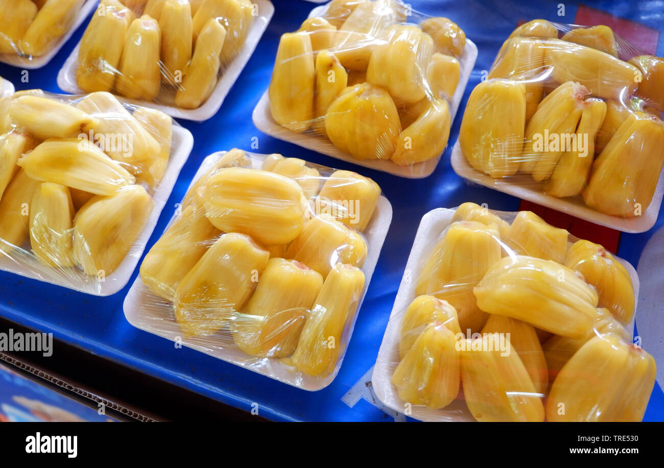 Dried jackfruit leaf hi-res stock photography and images - Alamy