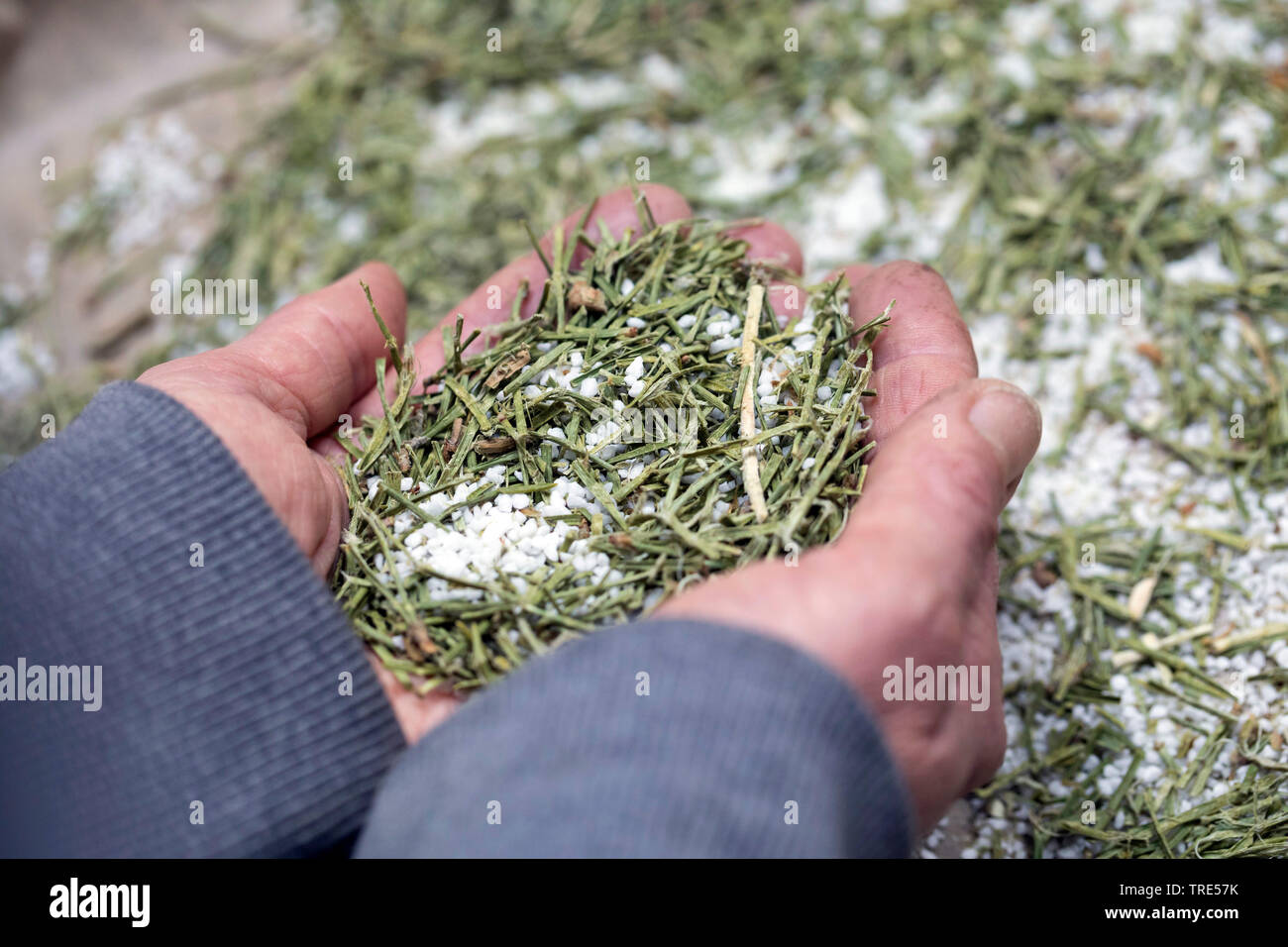 Hand made in bath hi-res stock photography and images - Alamy