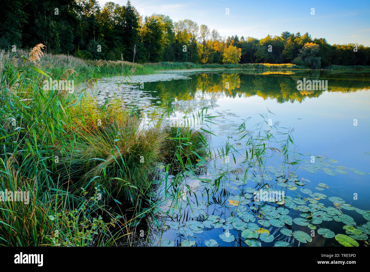 lake Burgaeschisee , Switzerland, Solothurn Stock Photo - Alamy