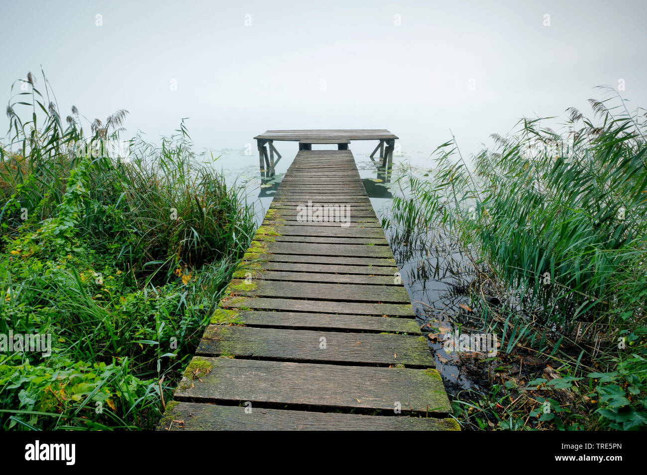 Boardwalk lake lakeside hi-res stock photography and images - Alamy
