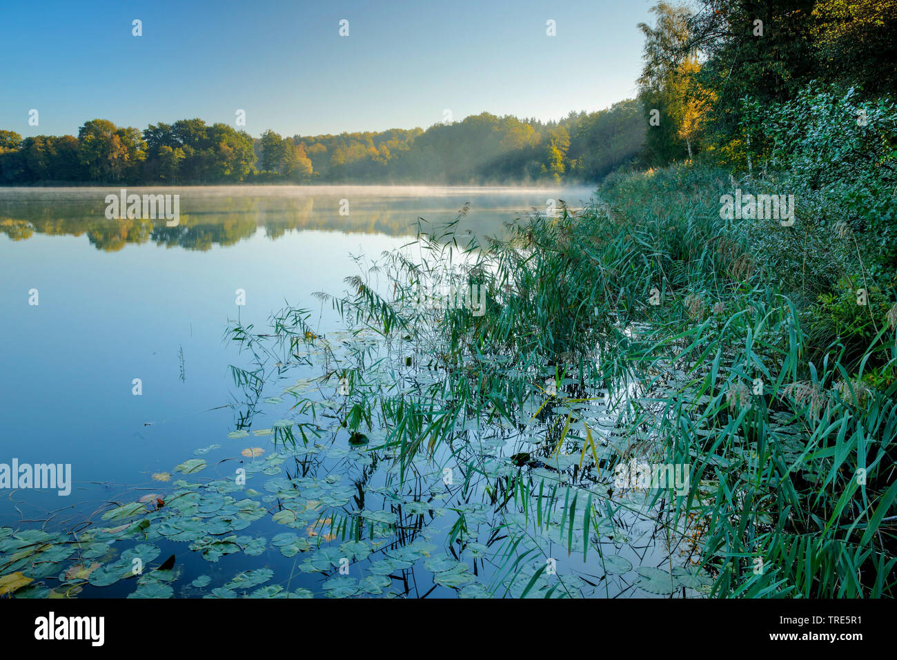 lake Burgaeschisee , Switzerland, Solothurn Stock Photo - Alamy
