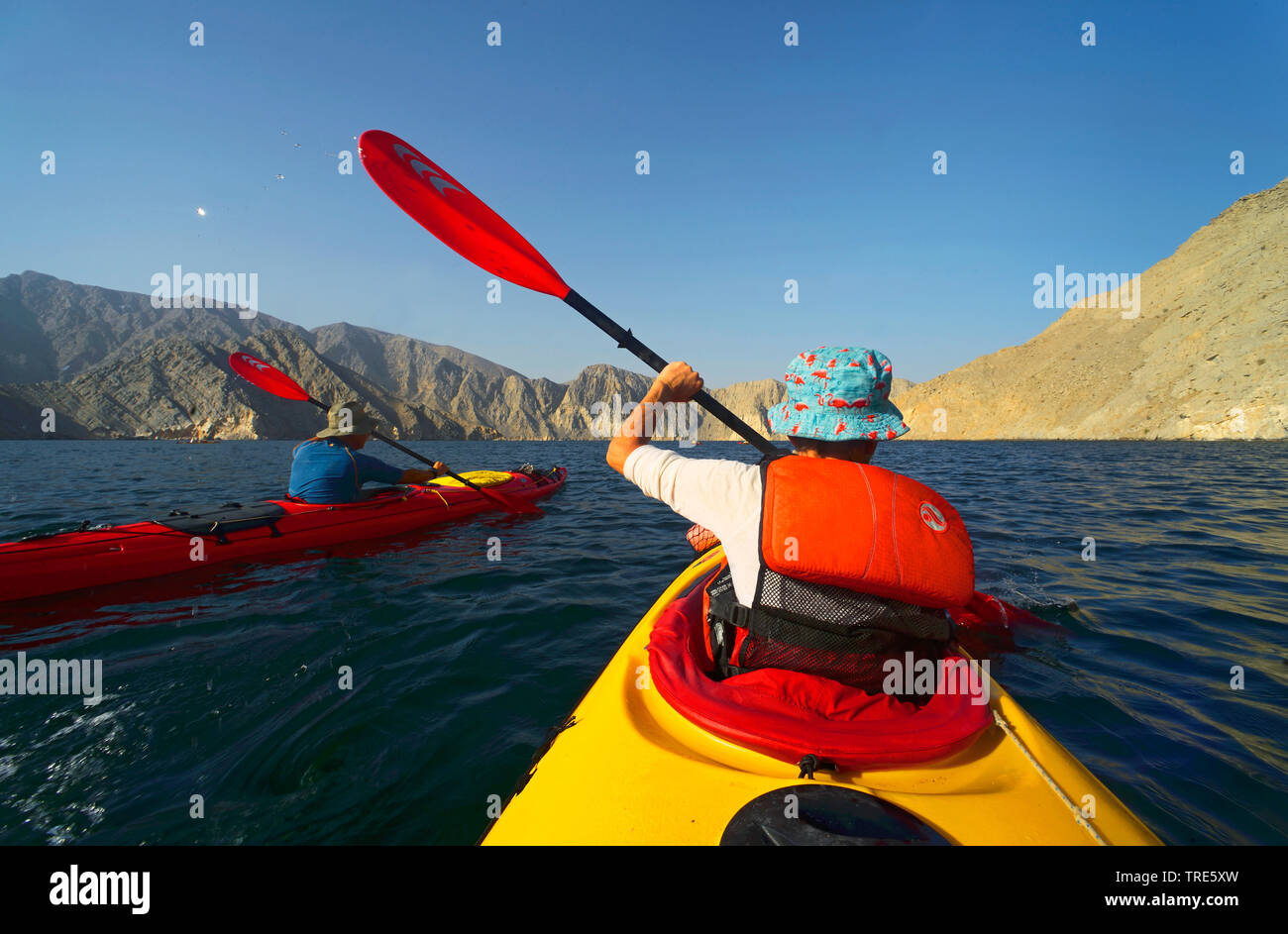 sea kayaking in bay of Sham in the Strait of Hormuz, Oman, Musandam ...
