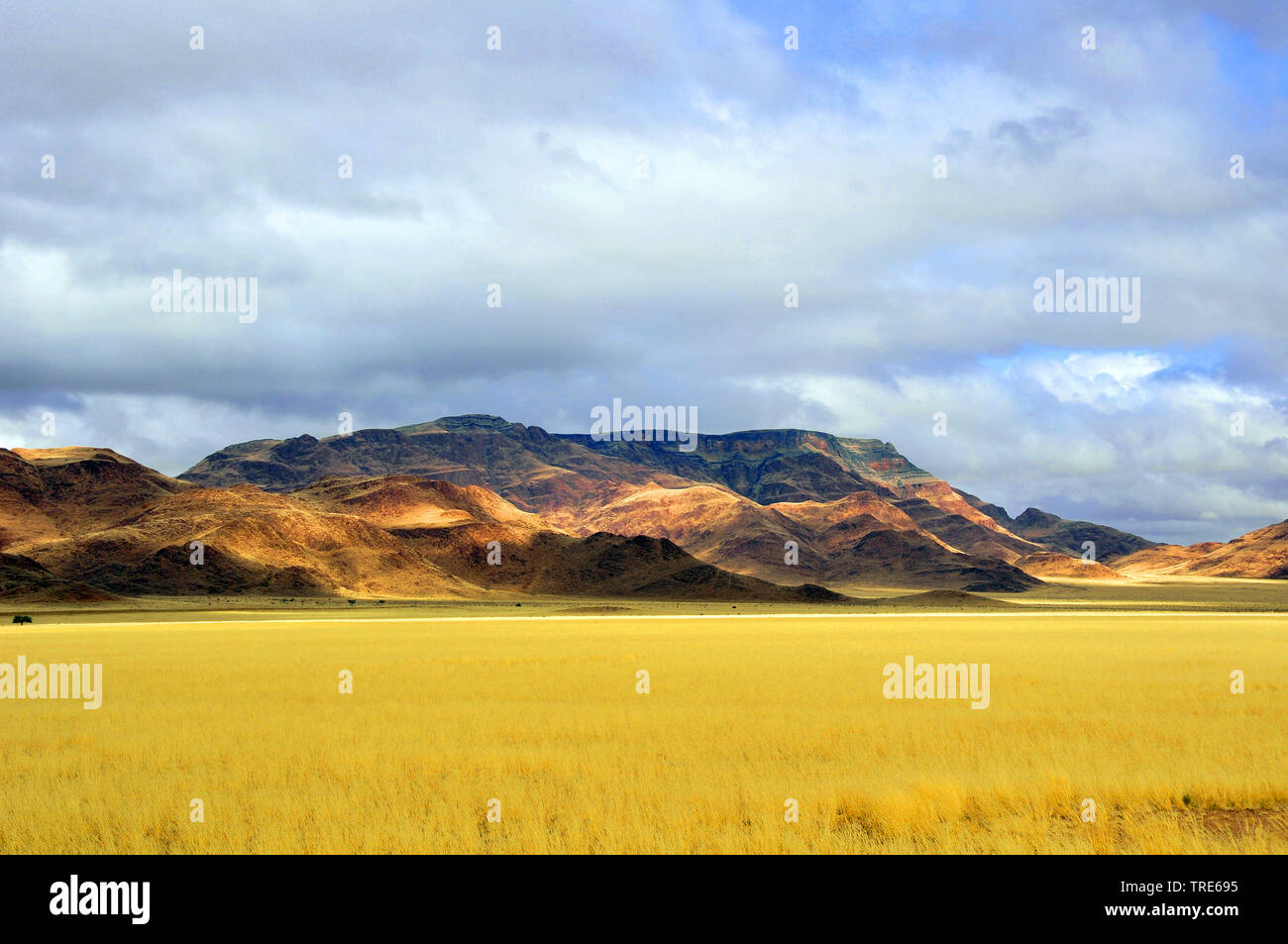 grassland in front of mountain range, Namibia Stock Photo - Alamy