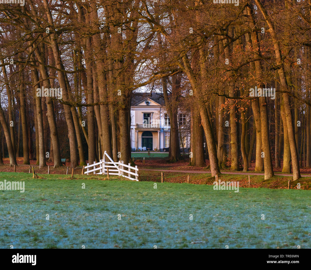 Neoclassical manor house hi-res stock photography and images - Alamy