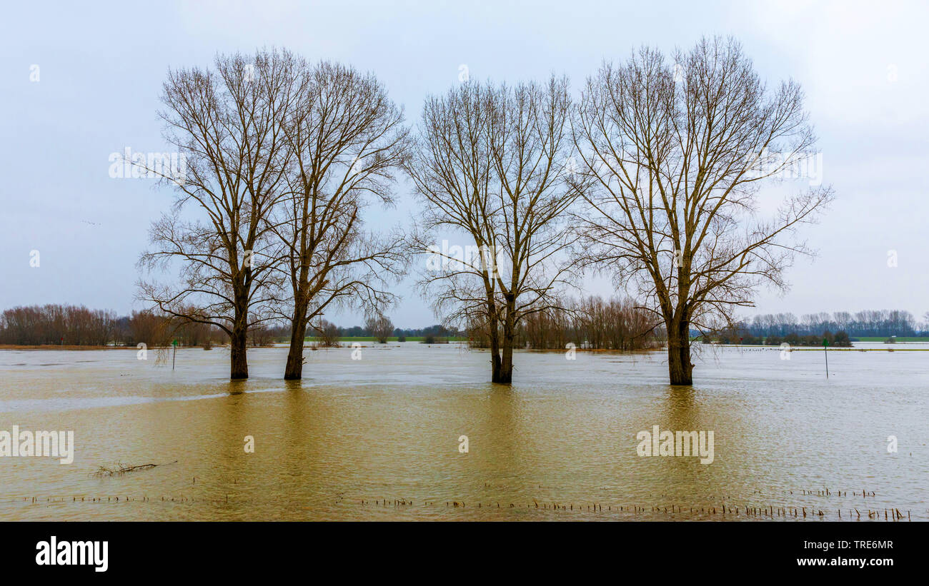 Ijssel overijssel hi-res stock photography and images - Alamy
