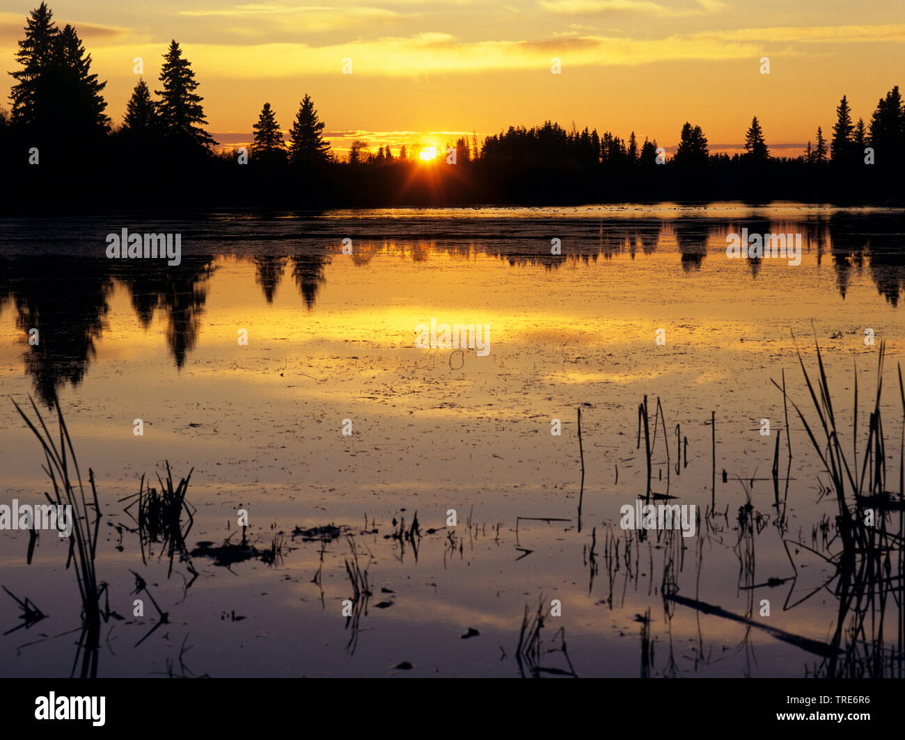 lake at sunset, Germany Stock Photo - Alamy
