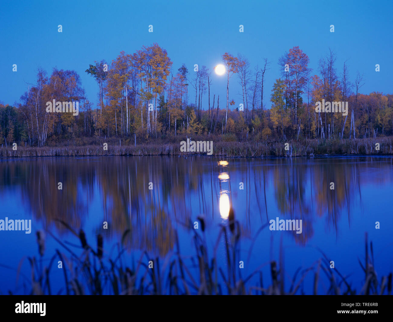 Moonrises hi-res stock photography and images - Alamy