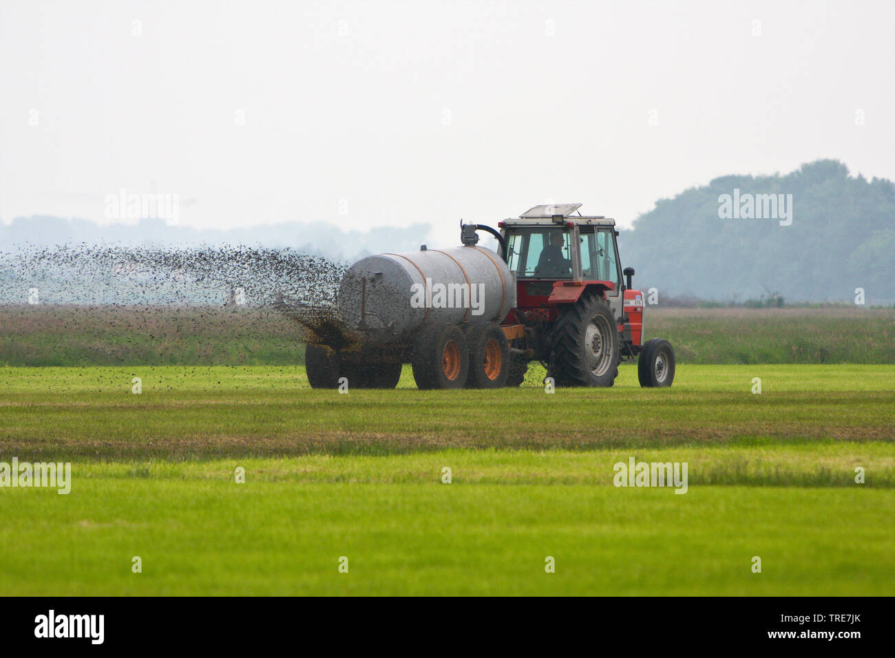 Netherlands dutch farming farmer hi-res stock photography and images ...