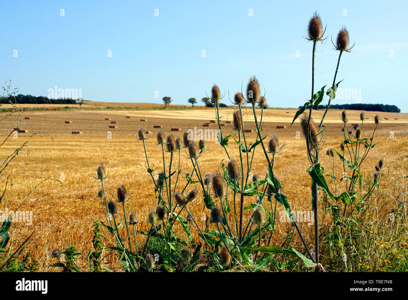 Virnich hi-res stock photography and images - Alamy