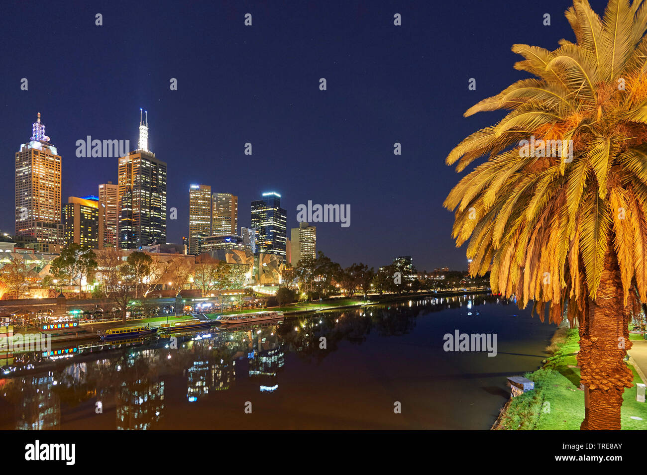 Melbourne city skyline palm tree hi-res stock photography and images ...