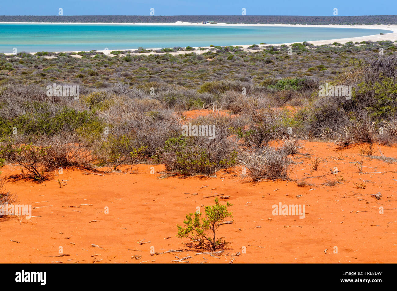 Shell bay in western australia hi-res stock photography and images - Alamy