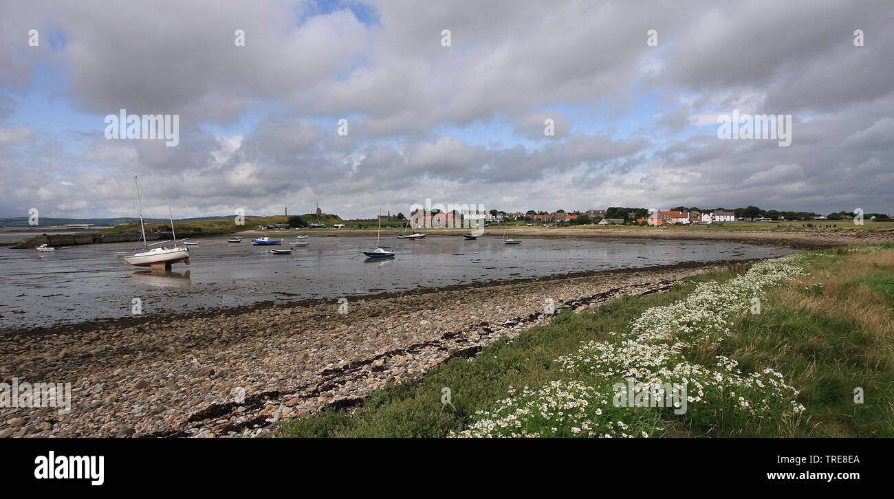 Holy island beach hi-res stock photography and images - Alamy