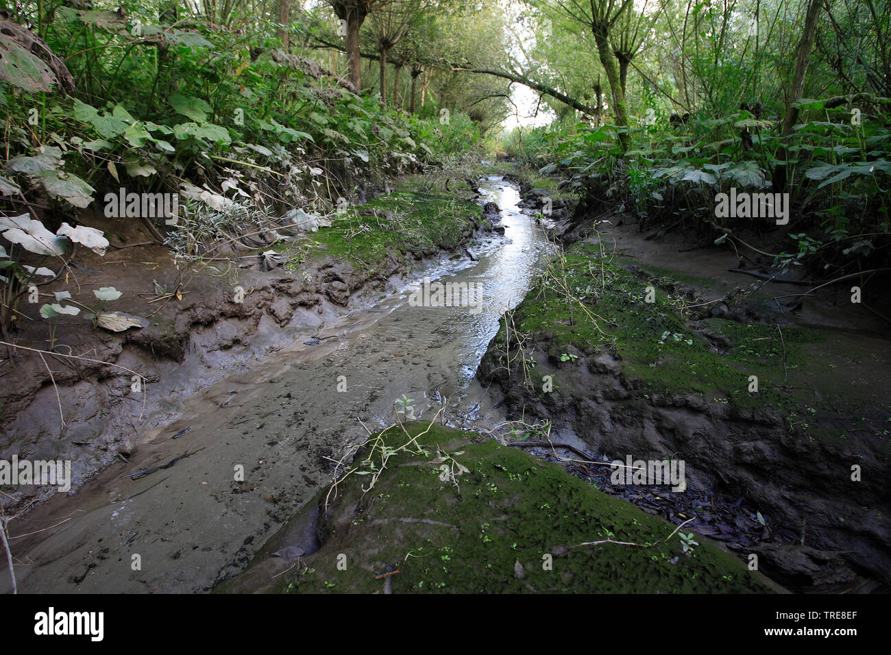 Tidal area hi-res stock photography and images - Alamy