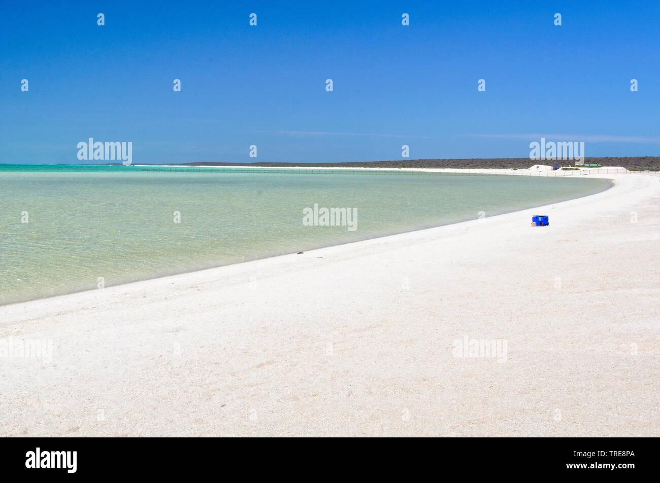 Shark bay australia shells hi-res stock photography and images - Alamy