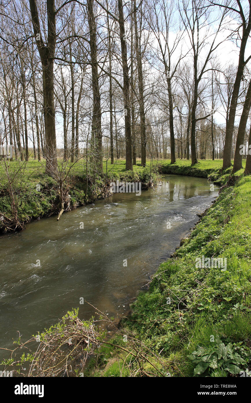 Dutch river landscapes hi-res stock photography and images - Alamy