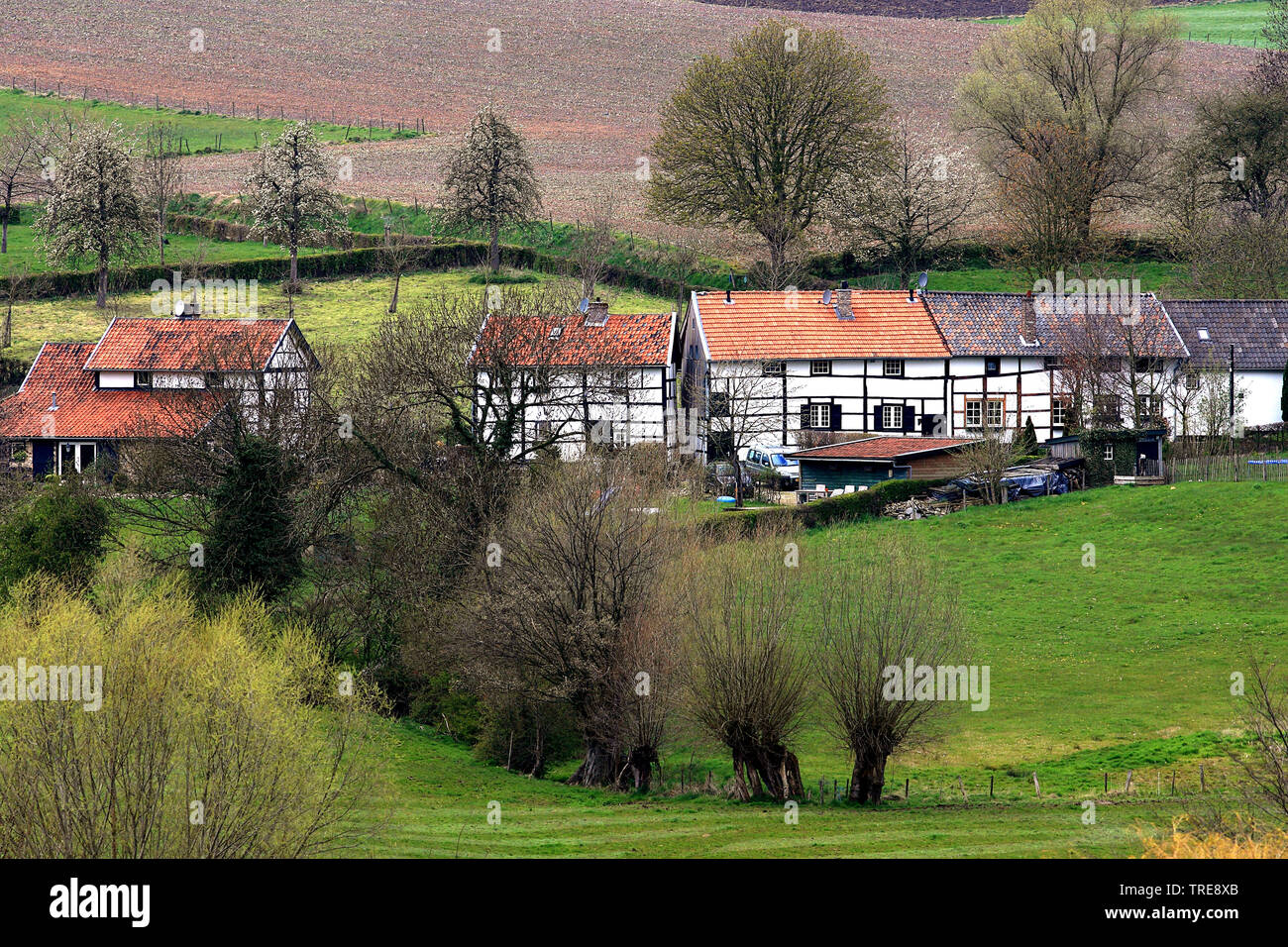 Dutch limburg hi-res stock photography and images - Alamy