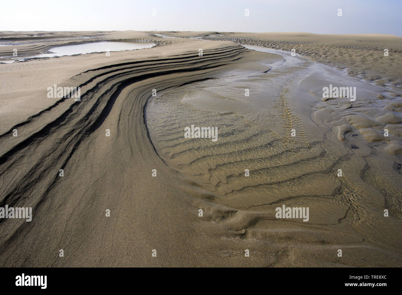 Westerschelde, Netherlands, Zeeland Stock Photo - Alamy