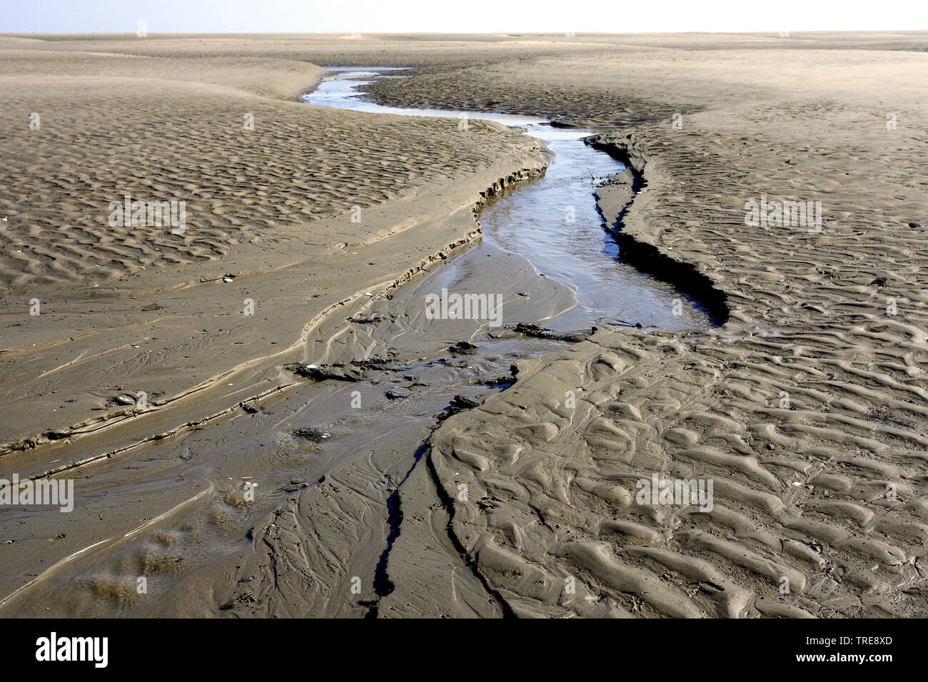 Westerschelde, Netherlands, Zeeland Stock Photo - Alamy