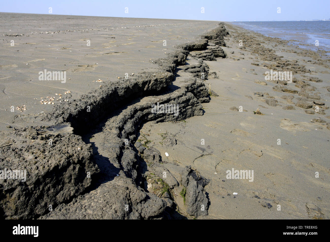 Westerschelde, Netherlands, Zeeland Stock Photo - Alamy