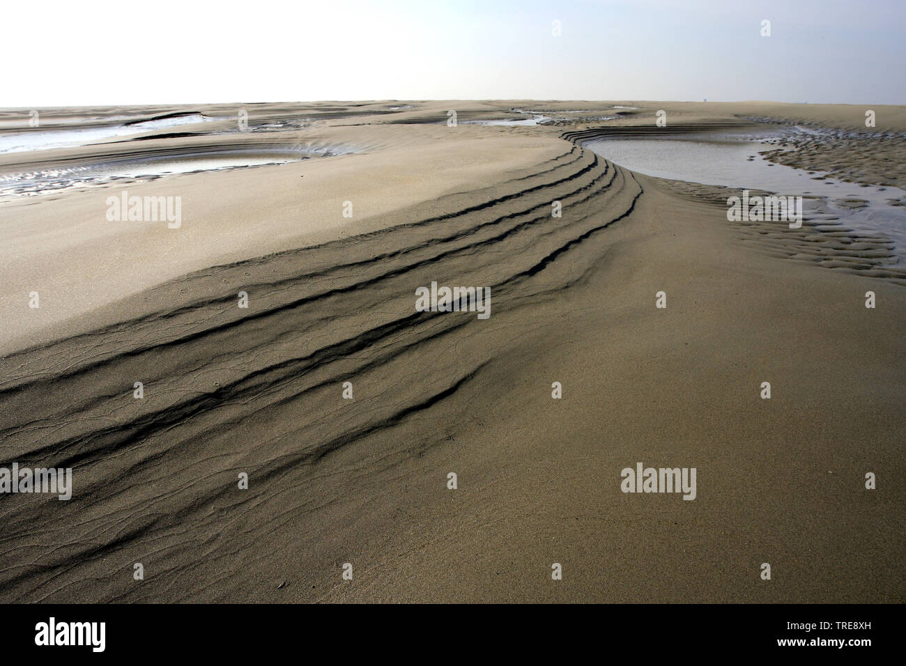 Westerschelde river hi-res stock photography and images - Alamy