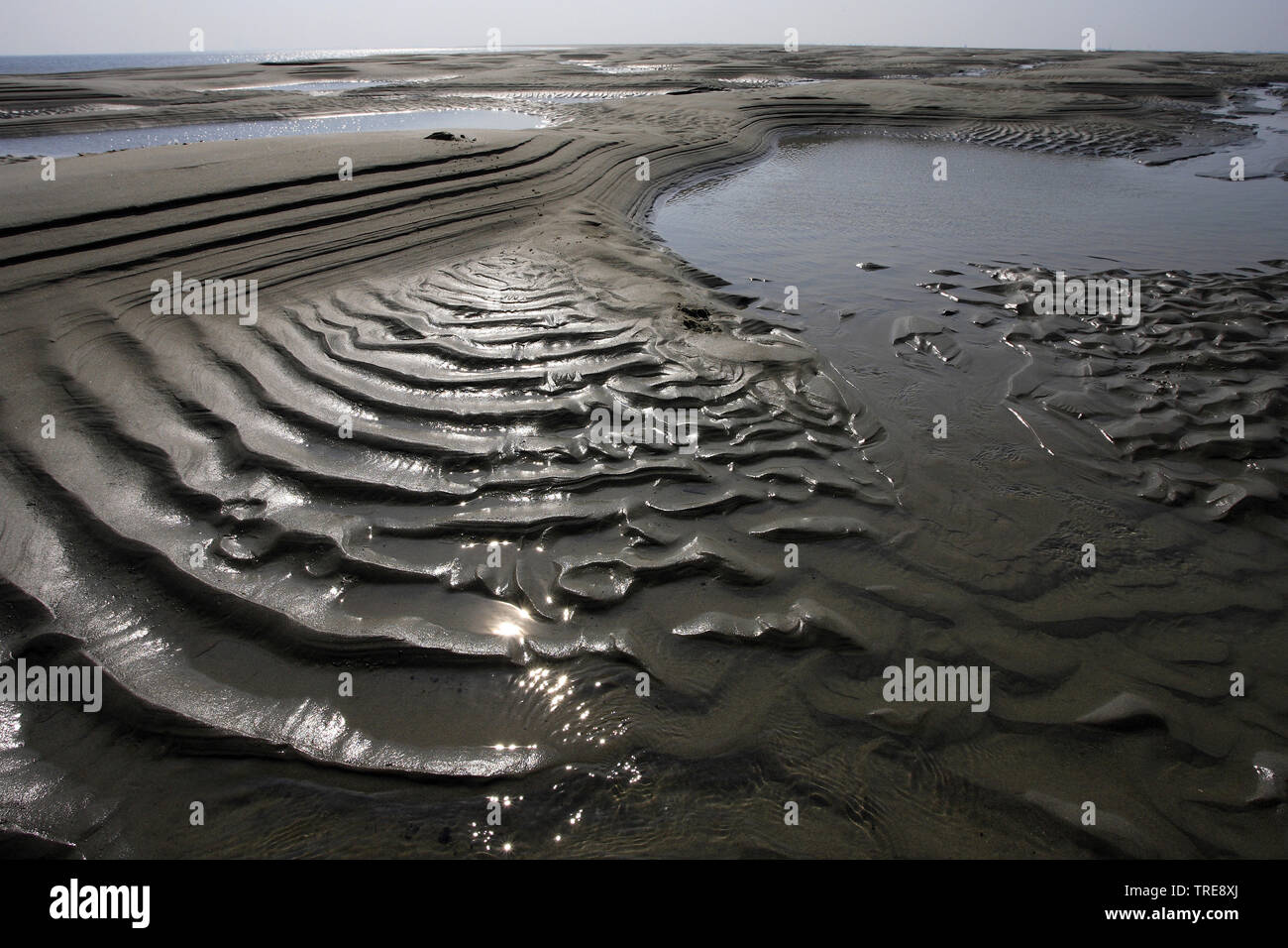 Westerschelde, Netherlands, Zeeland Stock Photo - Alamy