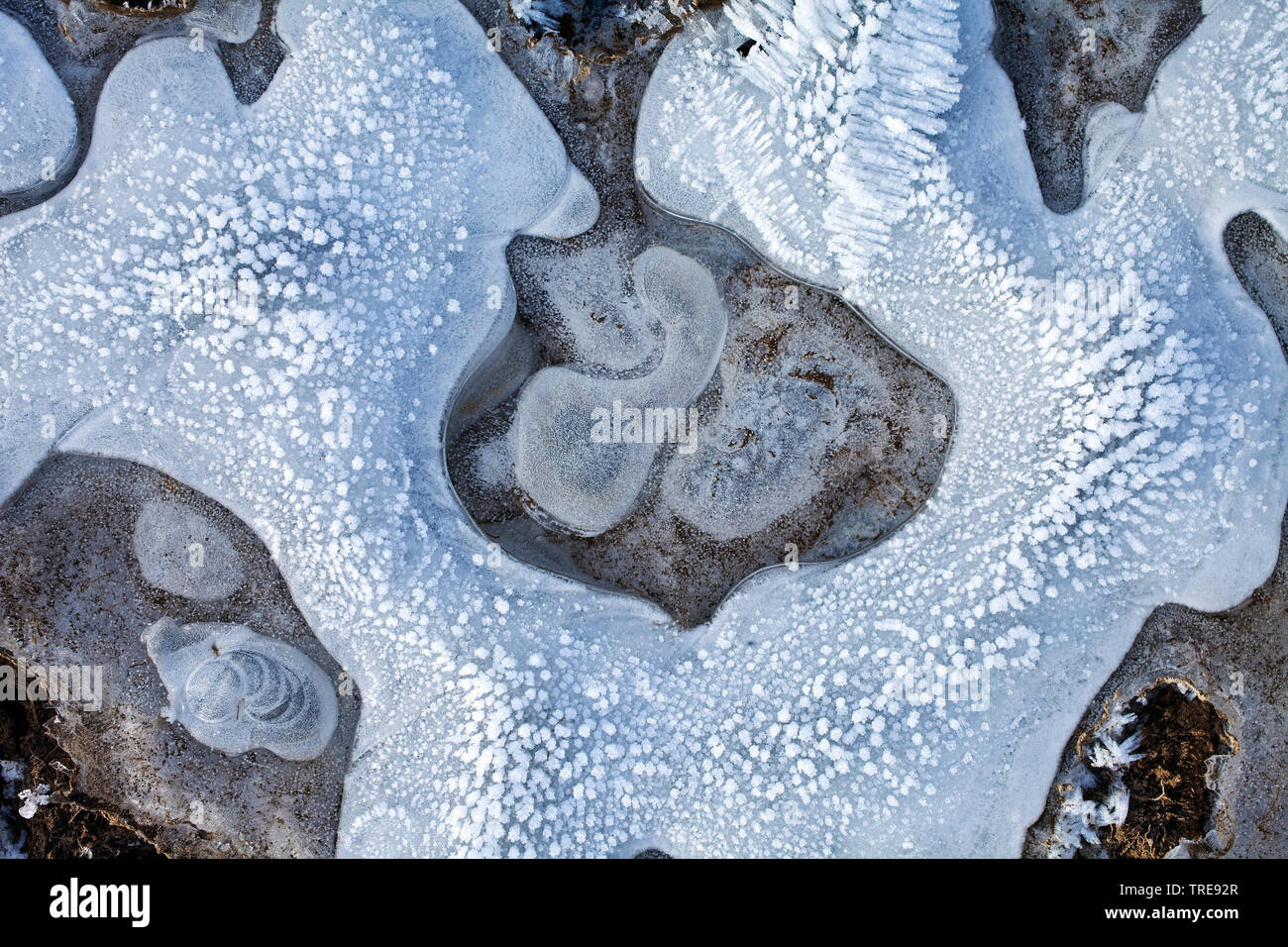 frozen puddle, Germany, North Rhine-Westphalia Stock Photo - Alamy