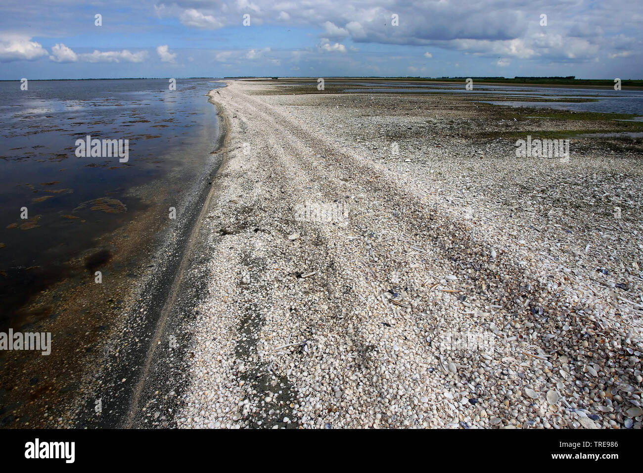 beach at Grevelingenmeer, Netherlands, South Holland Stock Photo - Alamy
