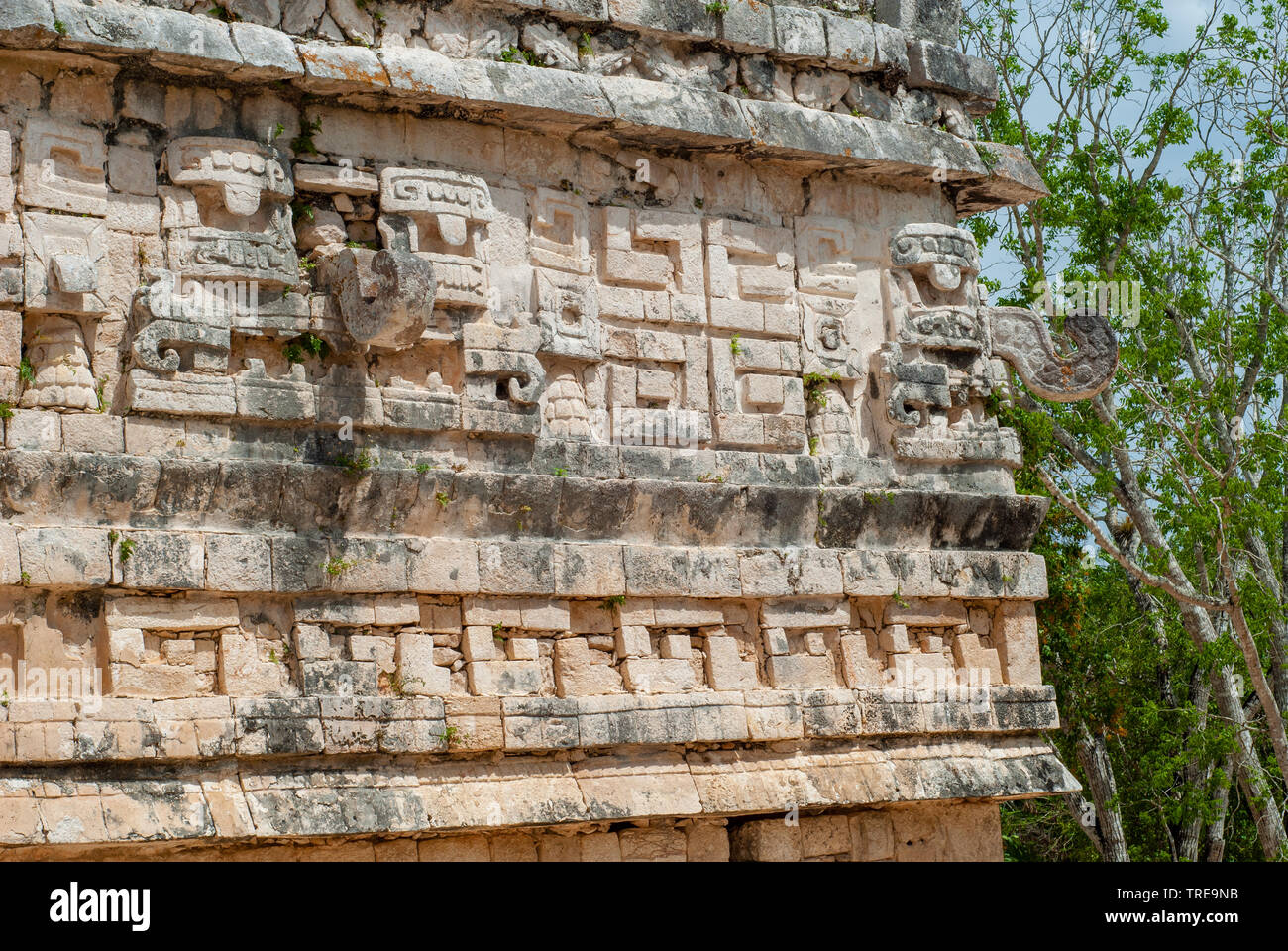 Decoration details engraved on the Mayan temple, in the archaeological ...