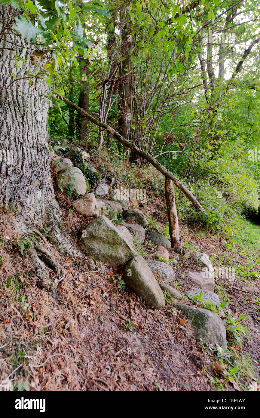 Hedge bank hi-res stock photography and images - Alamy