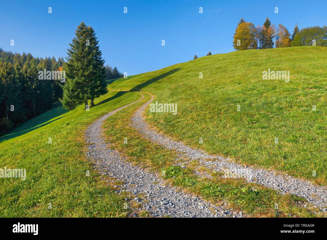 Switzerland path hi-res stock photography and images - Alamy